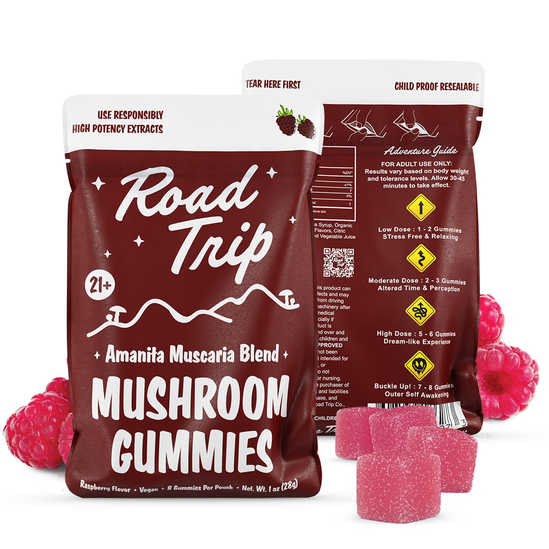 Road Trip Mushroom Gummies | Erth Wellness